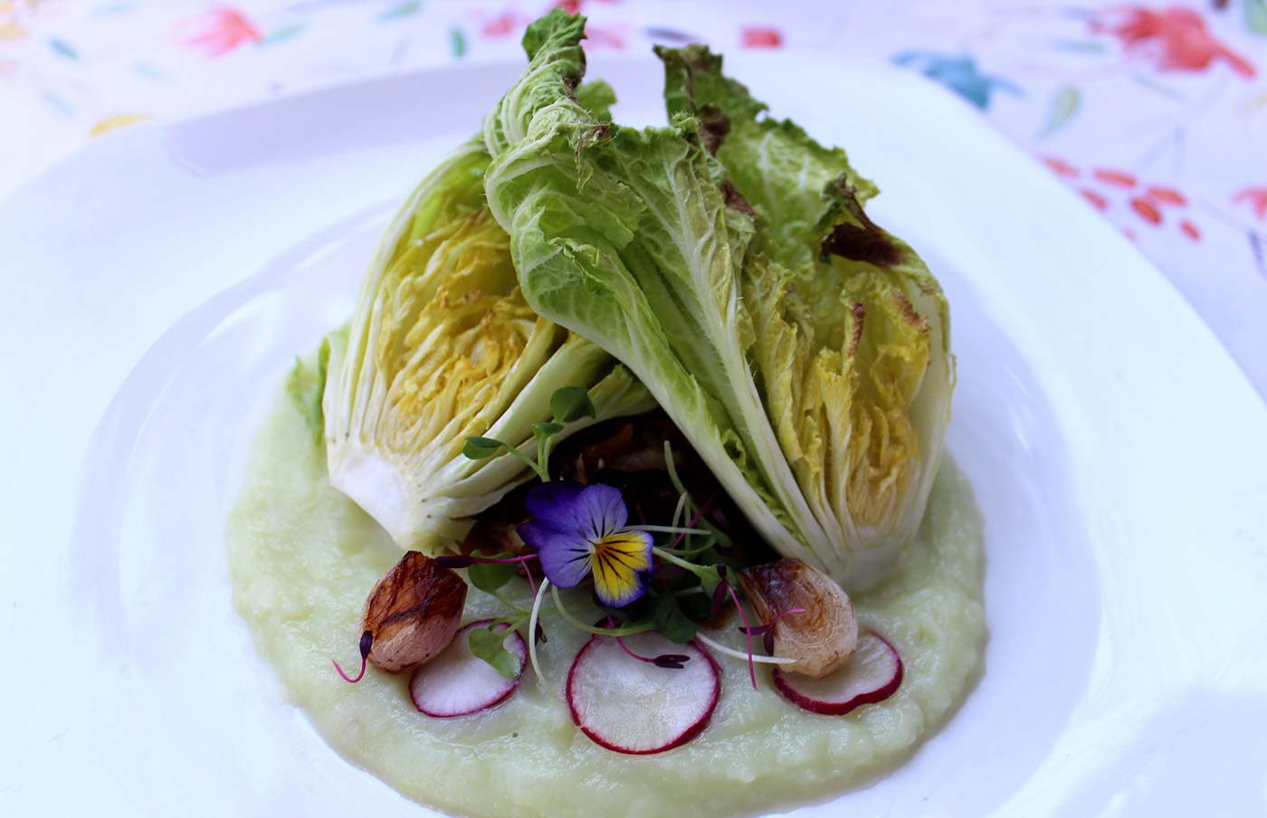 Kohlrabi Puree with Broiled Napa Cabbage | Health + Wellness | Cheshire ...